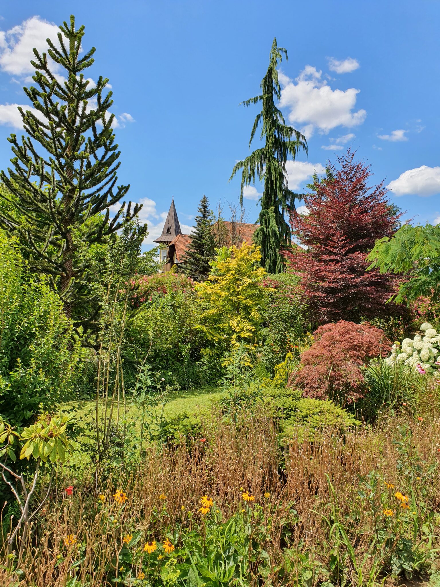 Regional einkaufen | Raaba-Grambach - Gemeindeservice Steiermark